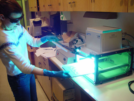 sun1 Support Group for Sun Sensitive People: Light Bulbs