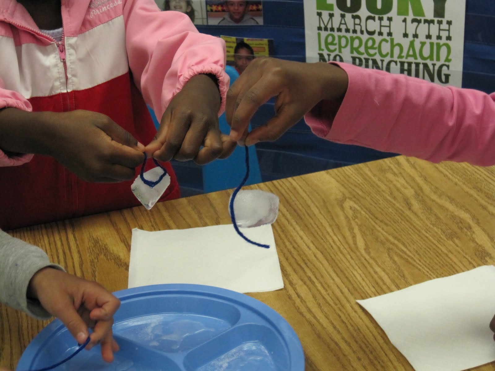 Ms.M's Blog: Science Fair Projects