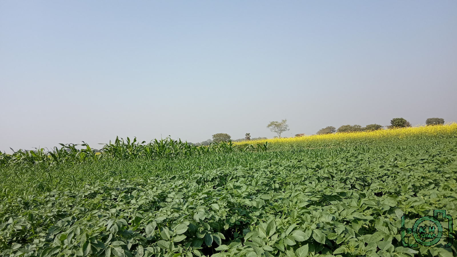 TOUR TO VILLAGE FIELD AT WINTER