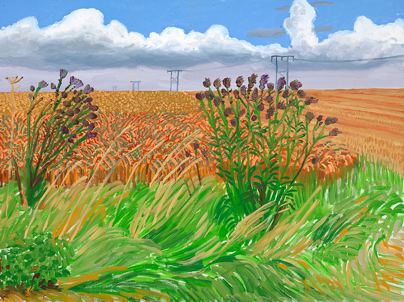 David Hockney, 1937 | Pop Art painter | Tutt'Art@ | Pittura * Scultura ...