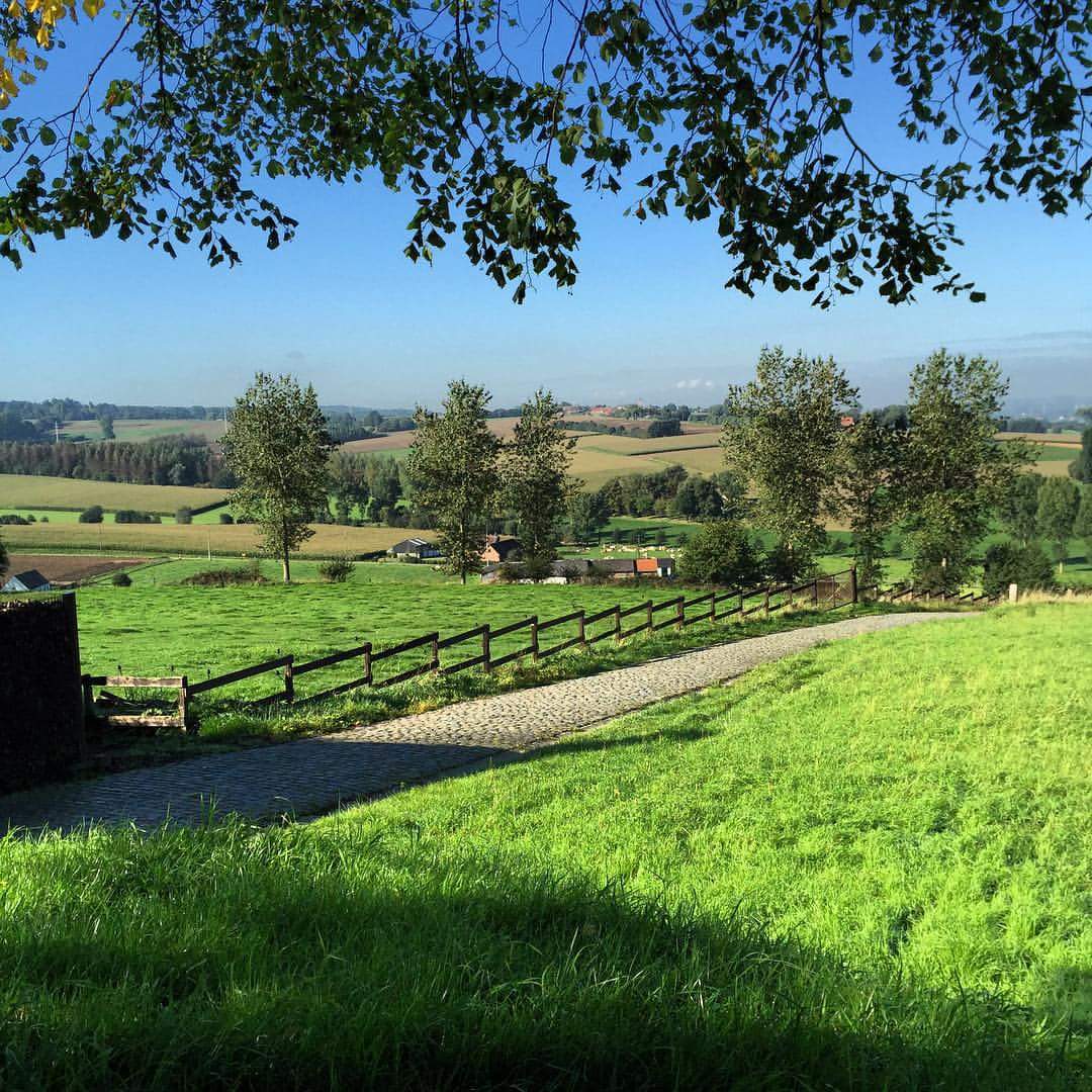 Daniel Patten - Making My Way!