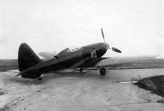 nhungdoicanh: Sukhoi Su-1 / I-330