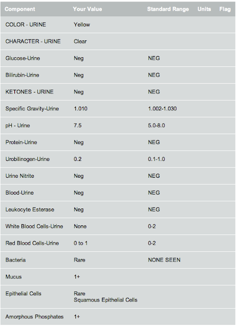 iPregnant?: Full Test Results: Should I be Worried?