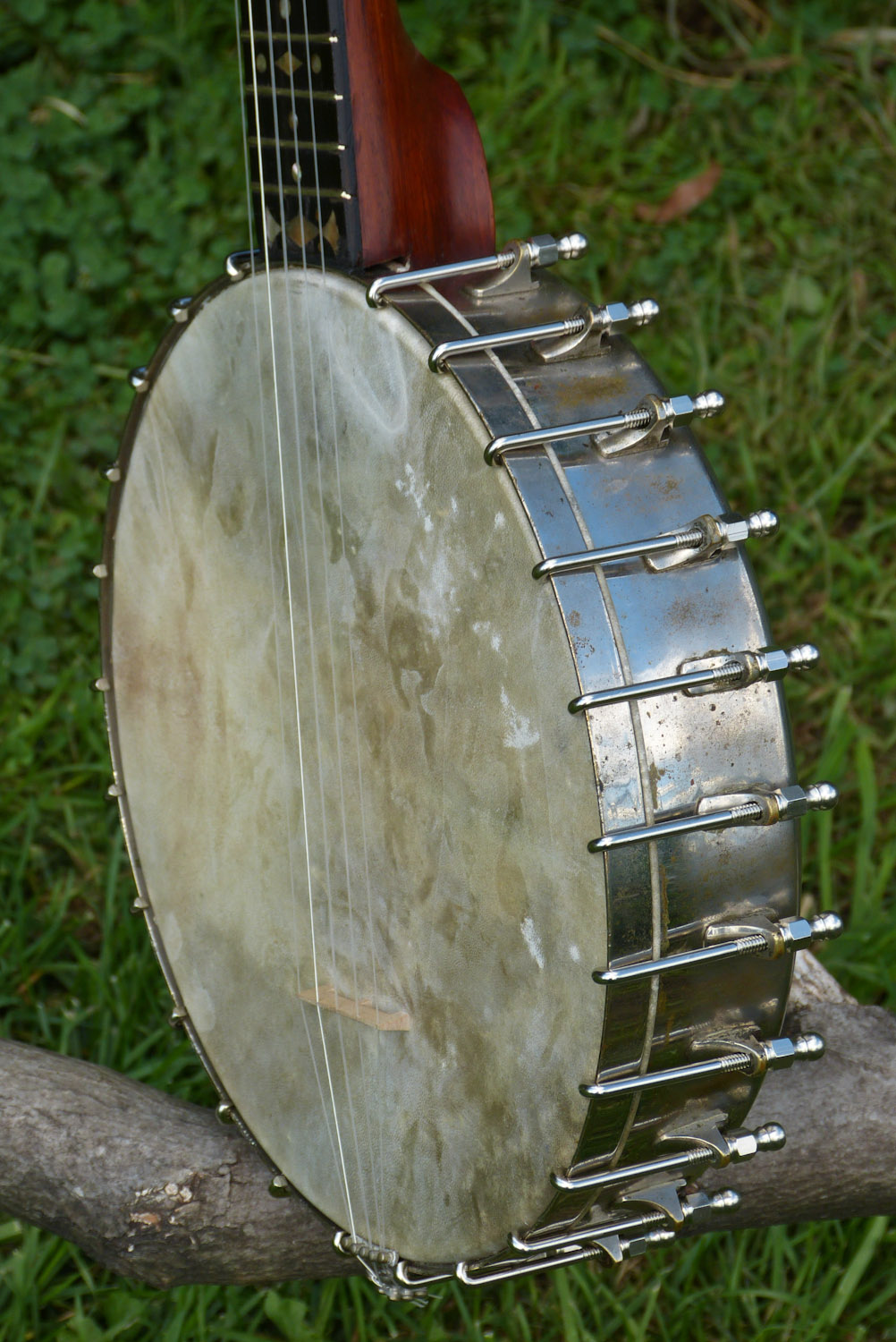 1890s Buckbee-made Dobson "Great Echo" 5-String Banjo