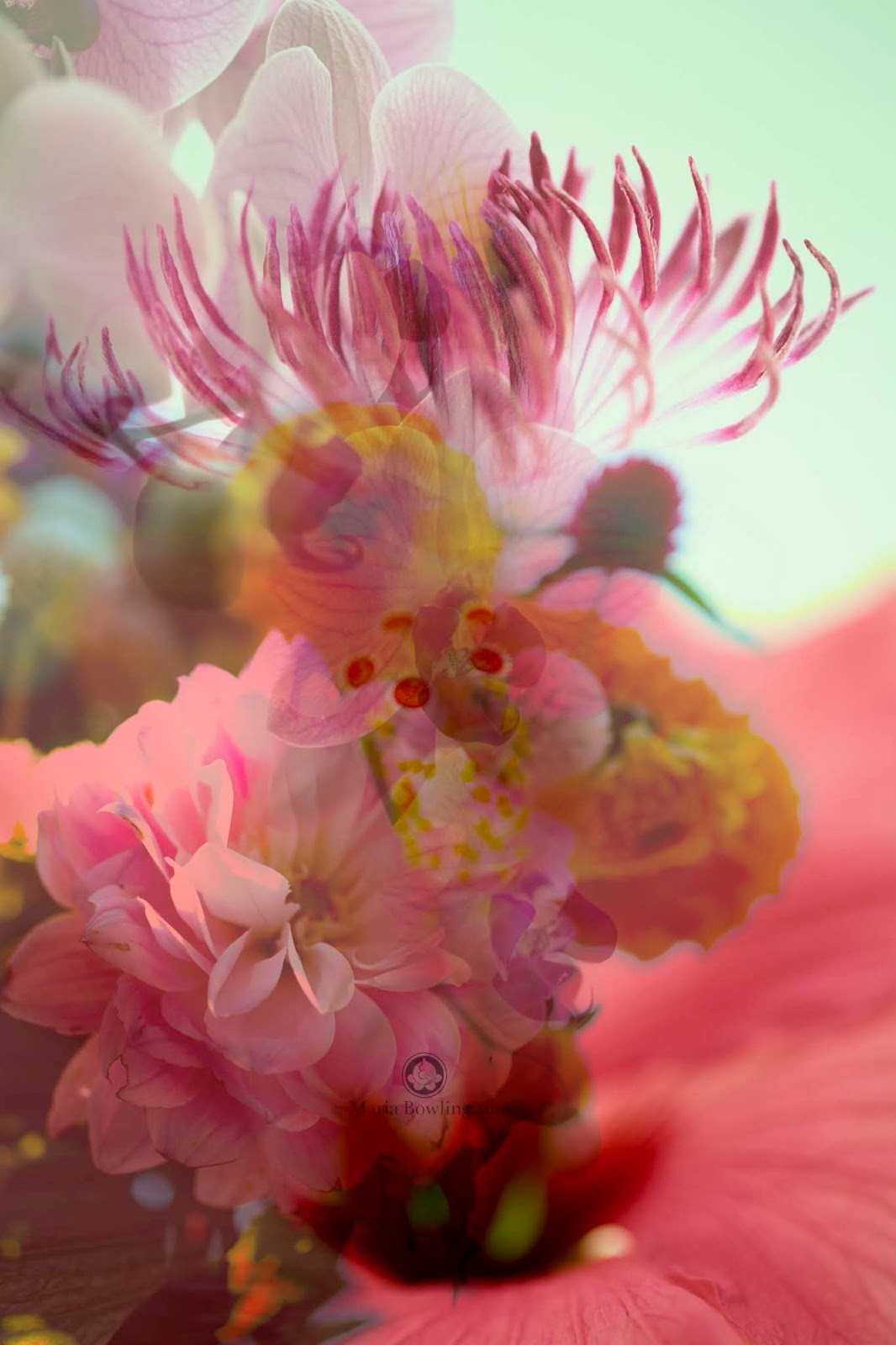 Pretty Medicine : December 2018