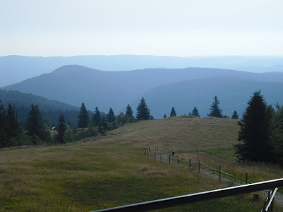 Der Schwarzwald und seine Natur: Kandel, der höchste Berg des Mittleren ...