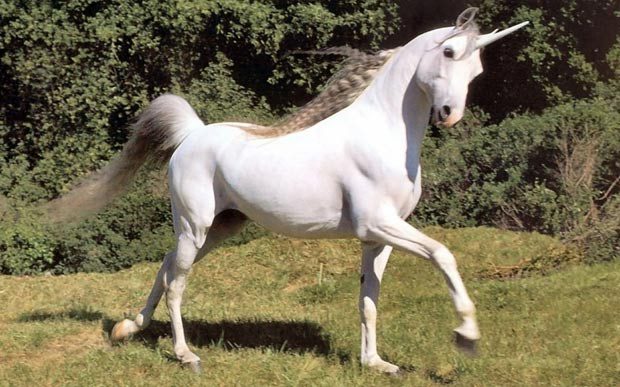UNICÓRNIO - CRIATURA MITOLÓGICA
