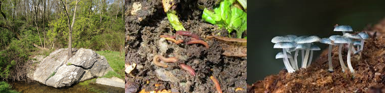 Soil Mates: SOIL, how it is formed?