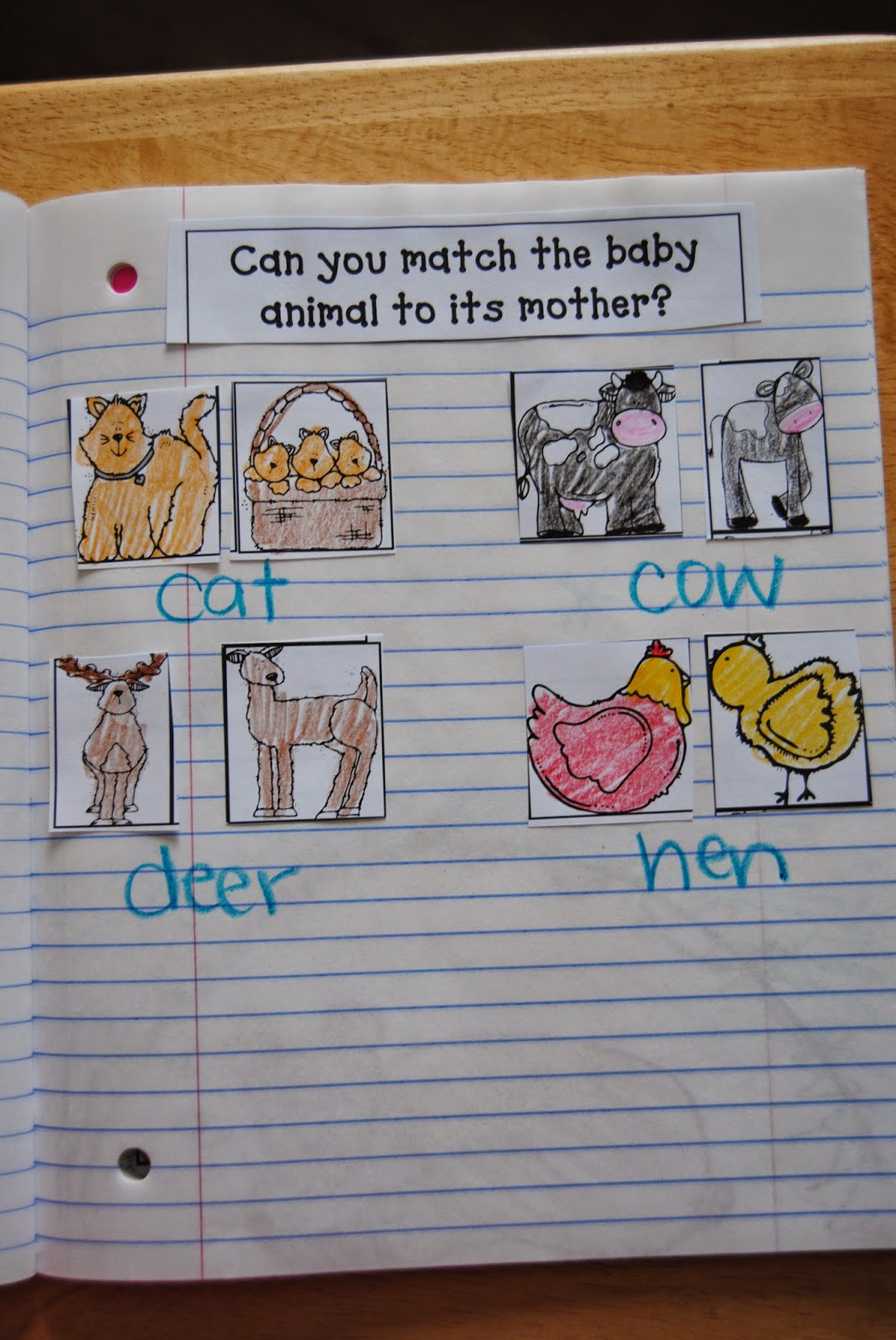 Teaching, Learning, & Loving: Interactive Science Journals