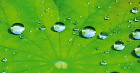 Application of Lotus effect