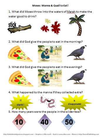 Bible Fun For Kids: Moses: Manna & Quail to Eat!