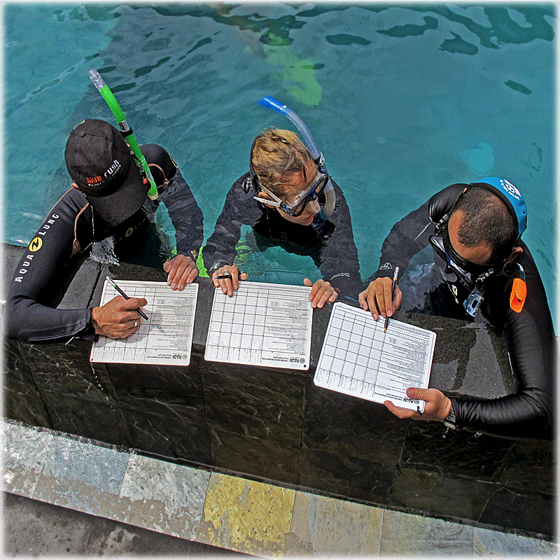 PADI IDC Staff Instructor | Gili Islands | Indonesia: Kipp “The ...