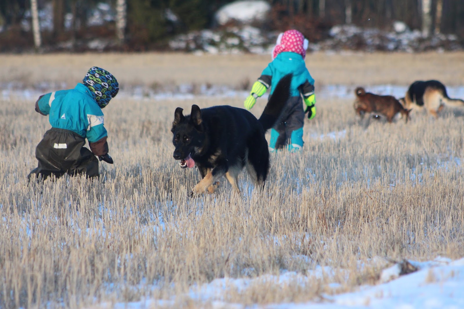 Bastillien elämää: 2016