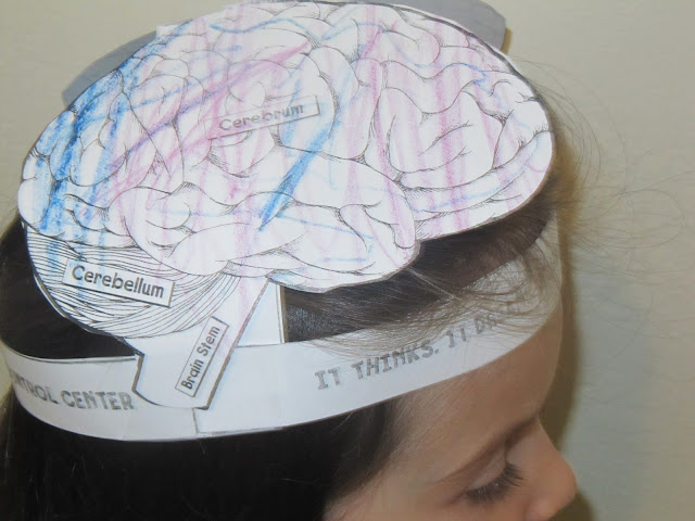 Jewish Homeschool in NYC: Sunday Science: Brain Hat