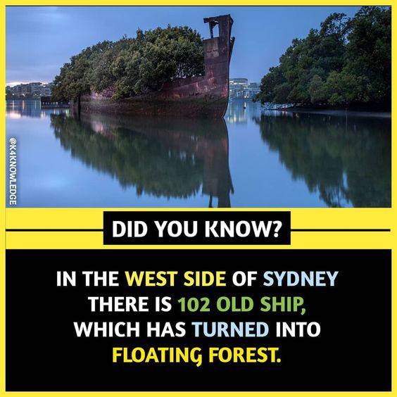 30 Amazing And Unbelievable Random Facts That Will Blow Your Mind ...