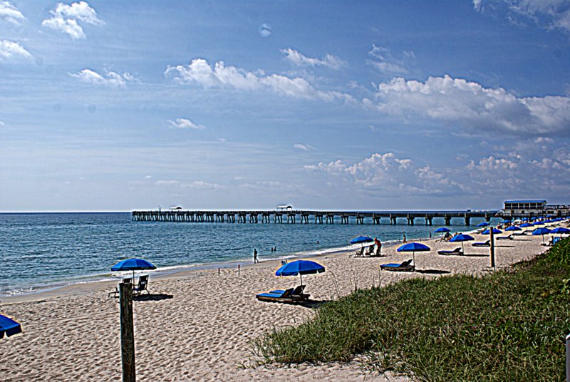 Lynn's little bit of trivia : Gorgeous day at Lake Worth beach