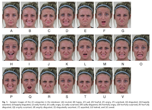 Masker onderzoek Sjoerd Schwibettus: 3. 'compound facial expressions of ...
