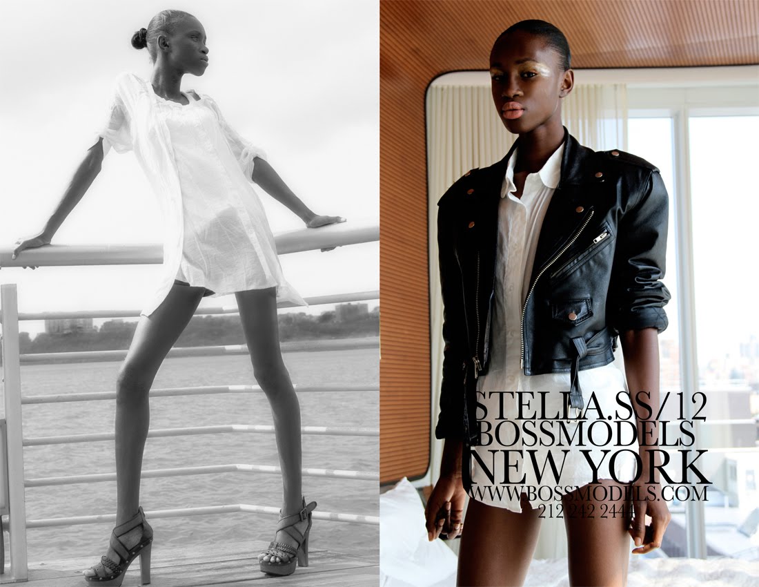 Stella C. | the Fashion Spot