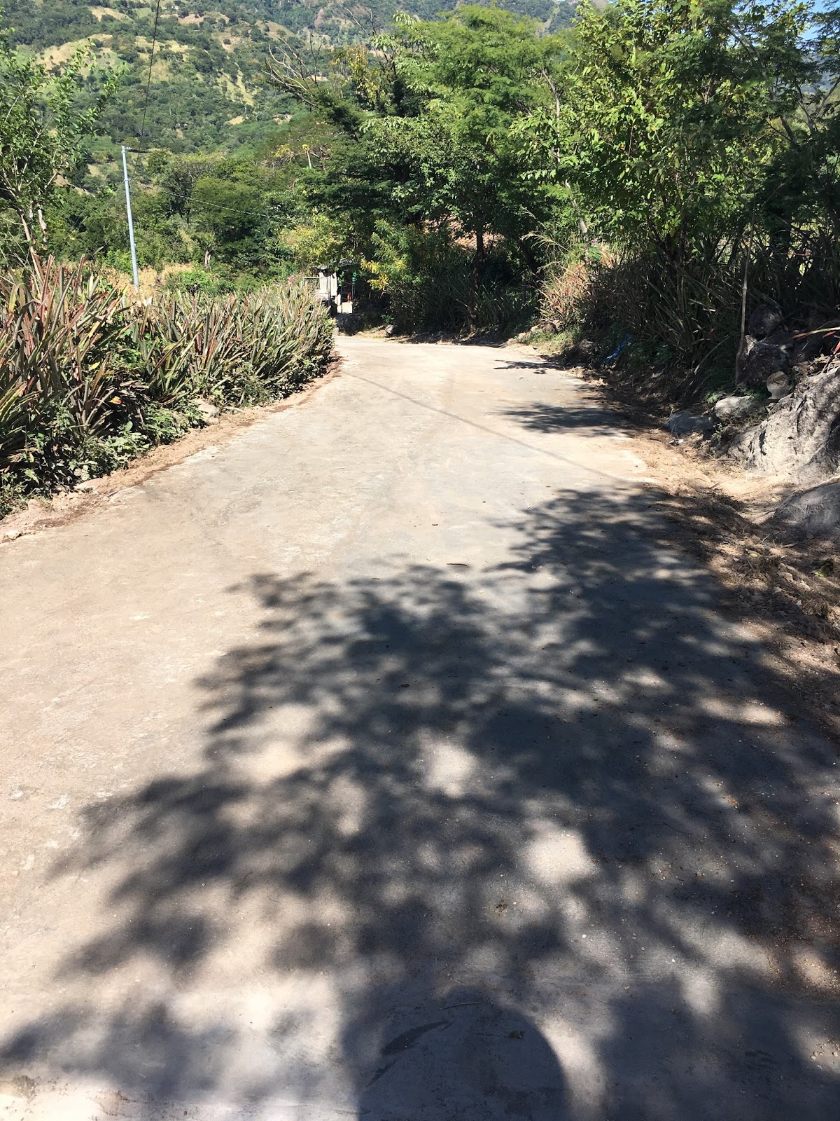 ARAUJO CONSTRUCCIONES S.A. DE C.V.