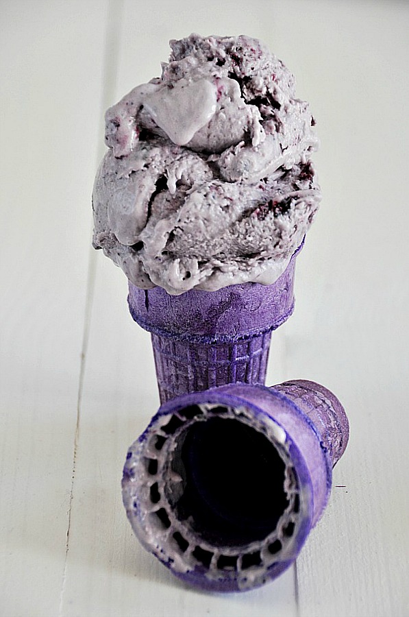 RECETA DE HELADO DE ARÁNDANOS AZULES