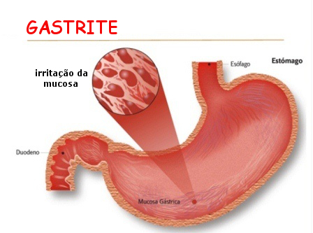 Plantando Ciência: Patologias do Trato Gastrointestinal I - Órgãos do TGI