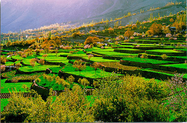 Hunza Valley Pakistan Wallpapers ~ View World Beauty