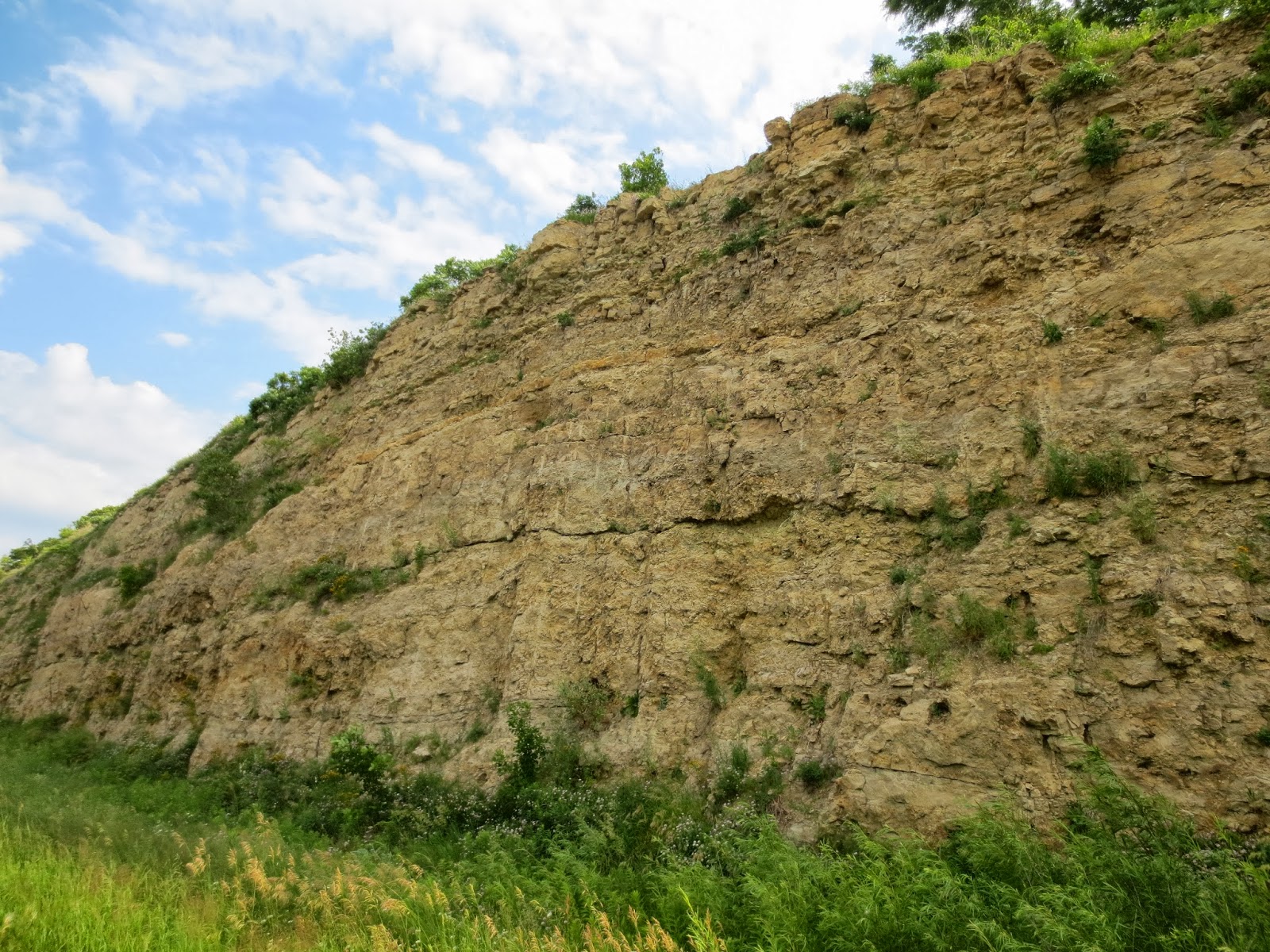 Equatorial Minnesota: Practical guide to MNRRA/metro-area bedrock geology