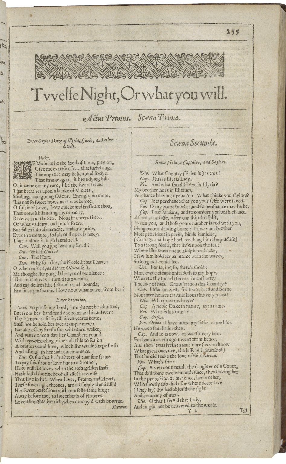 An Overview of Twelfth Night or What You Will
