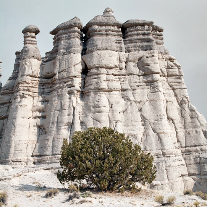 Urban Wilderness: The White Place