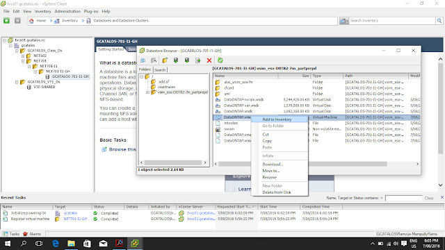 Technical Works : NET701 MODULE 1 - NetApp vSim