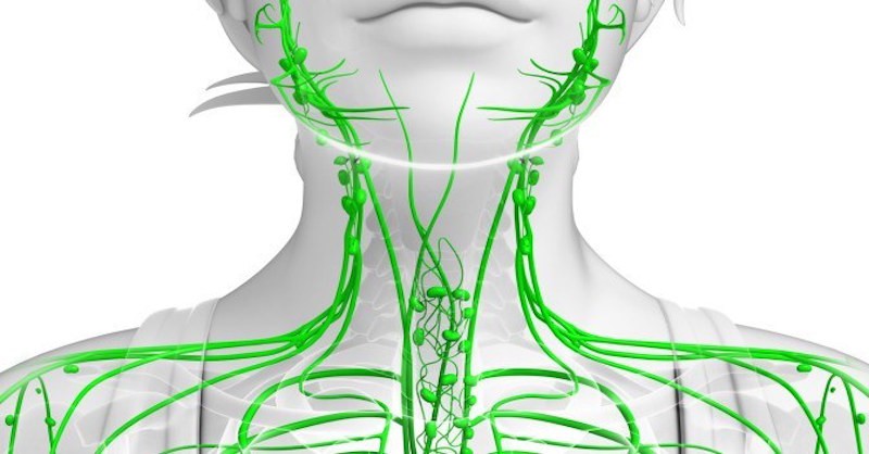 Všechno je jinak - Otevři oči: Záhadná lymfa - Naše míza v těle, její ...