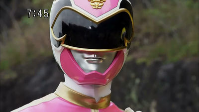 Power Father: Gosei Pink