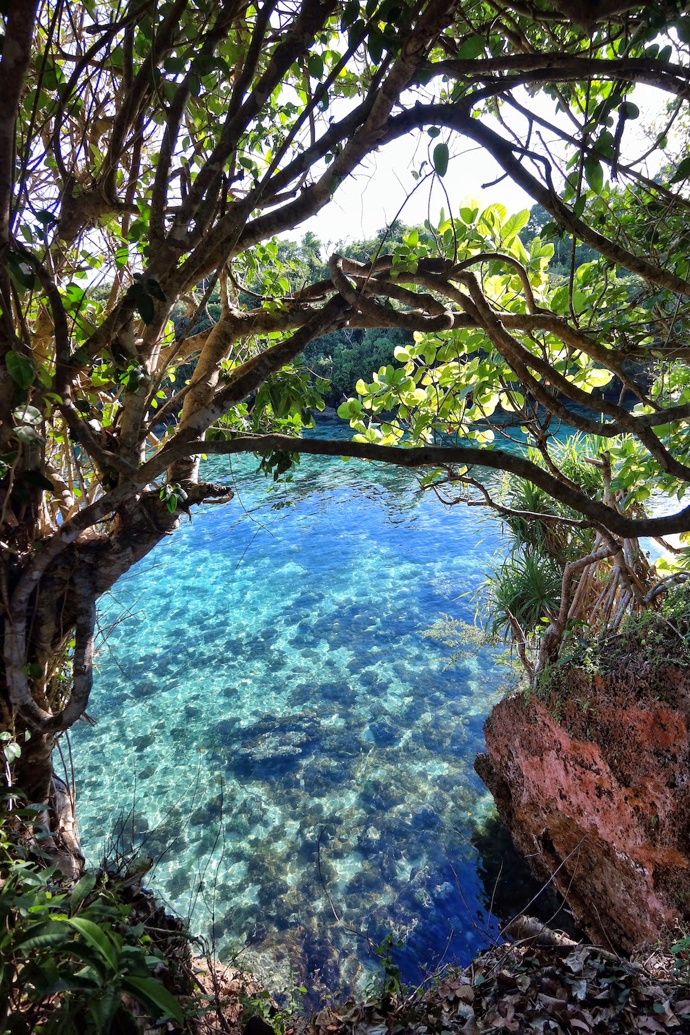 Weekuri Lake, Angel's Lagoon in Sumba ~ Life Is An Absurd Journey