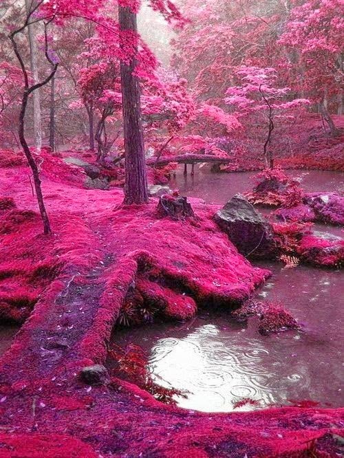 Dreamy nature ~ Amazing Photography