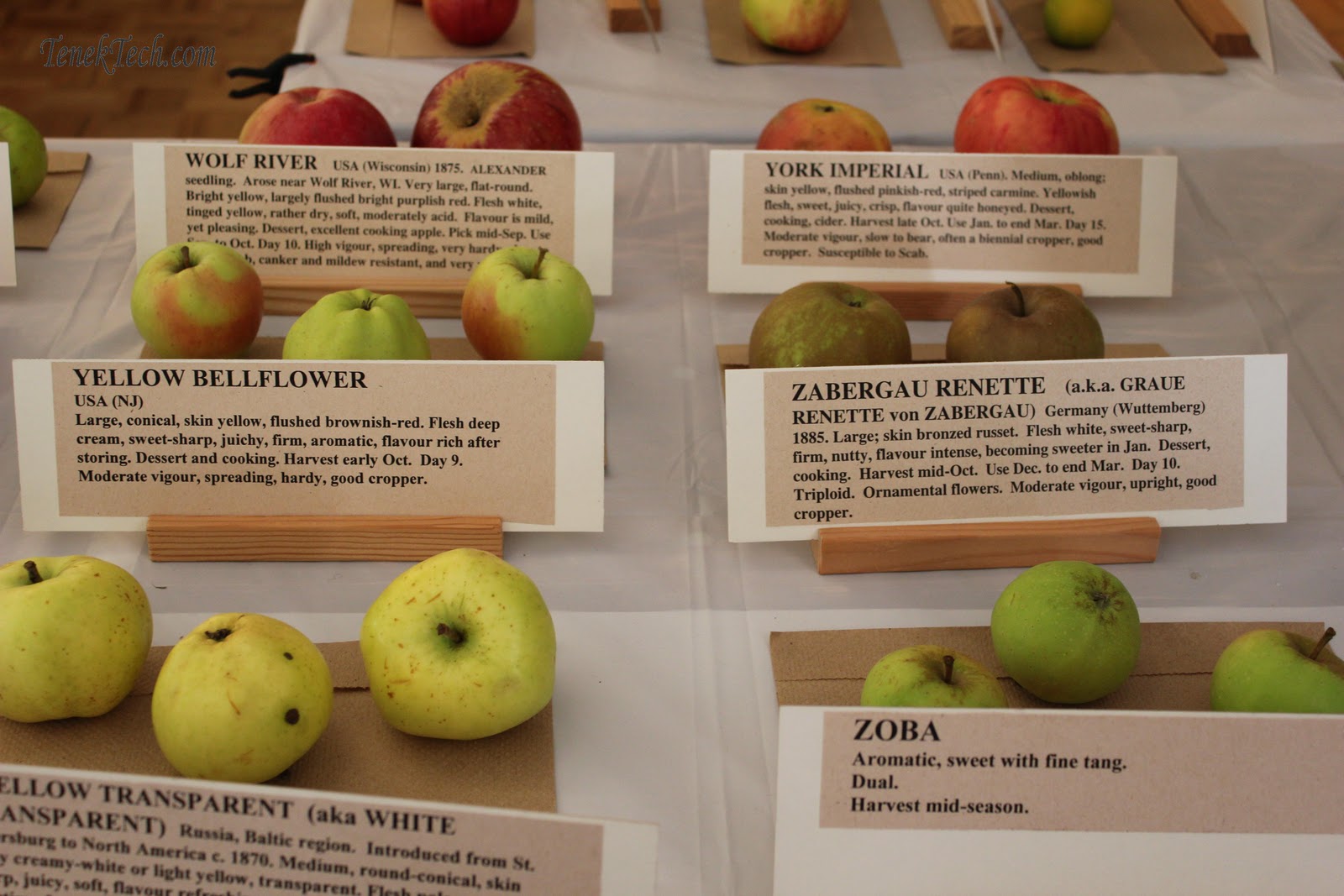 Living Vancouver Canada: UBC Apple Festival in Vancouver