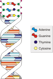 Aquila ka Hecate: Beltane's Coming...