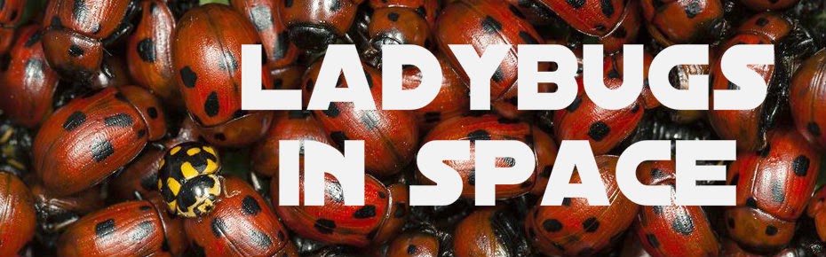 Ladybugs in Space