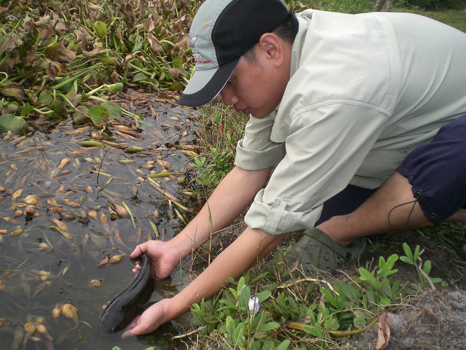 GedebeLureCaster: Usaha Pemeliharaan dan Pemuliharaan
