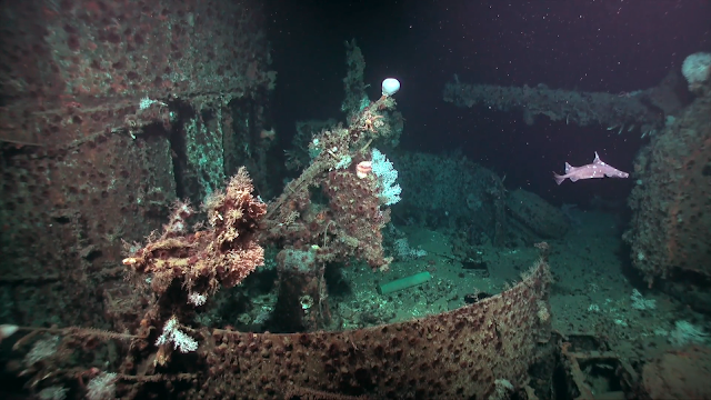 The Wreck of the USS Laffey