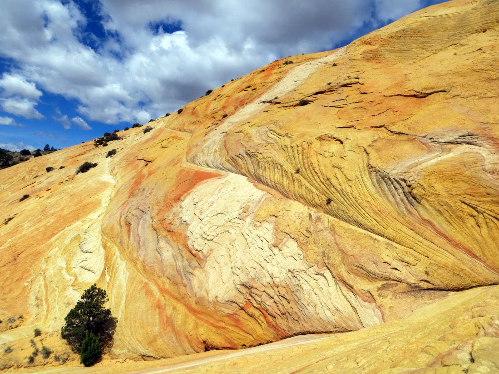The Road Goes Ever On: The BIG (Mostly) Yellow Rock