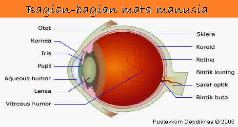 Sistem Indra Mata - Perumperindo.co.id