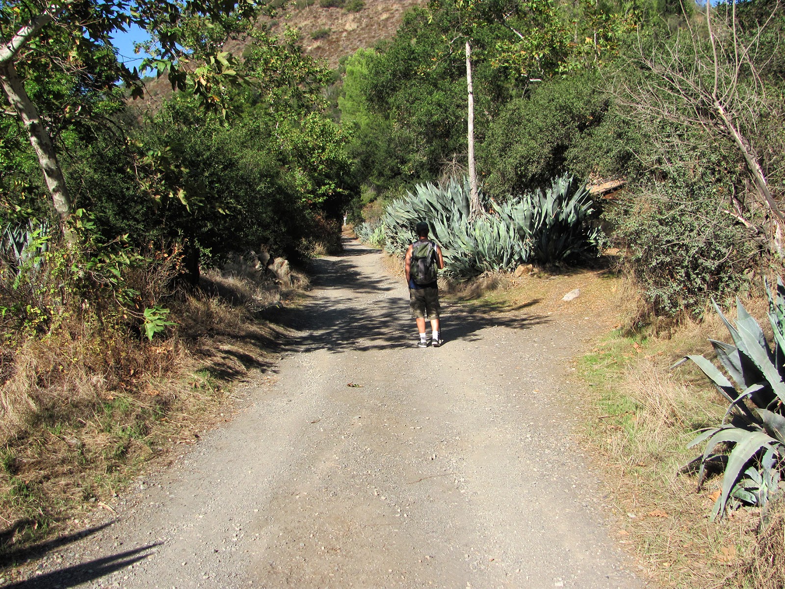 Holy Jim Falls. Trabuco Creek Road ~ Adventures in Southern California