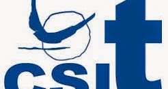 CSIT Universidad Rey Juan Carlos: Elecciones Sindicales