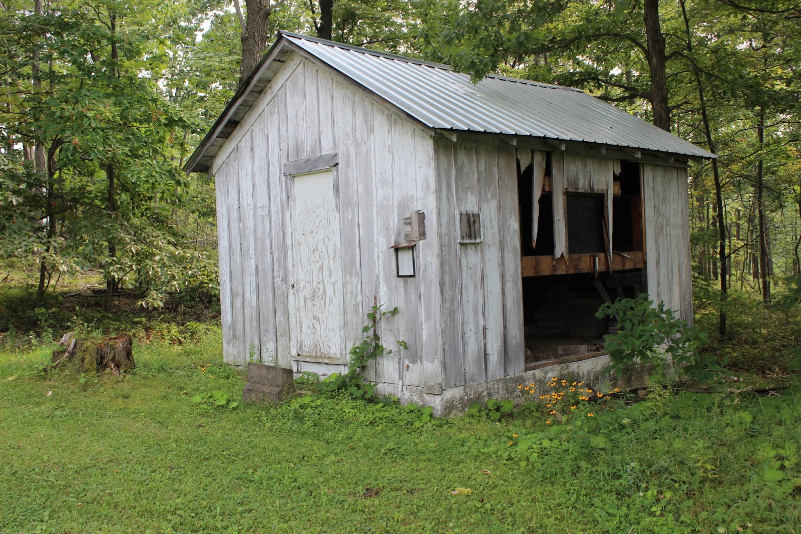 Discovery PA: Baughman's Cemetery