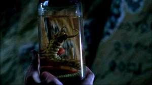 John Kenneth Muir's Reflections on Cult Movies and Classic TV: The Cult ...