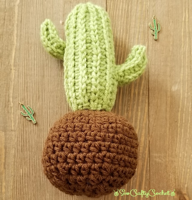 Crochet Flowering Cactus - Sew Crafty Crochet