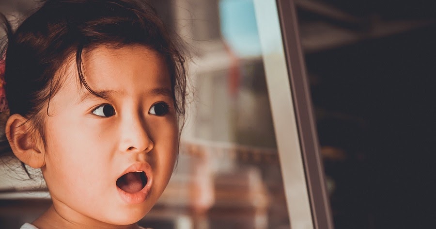 "Be scared witless" nghĩa là gì?