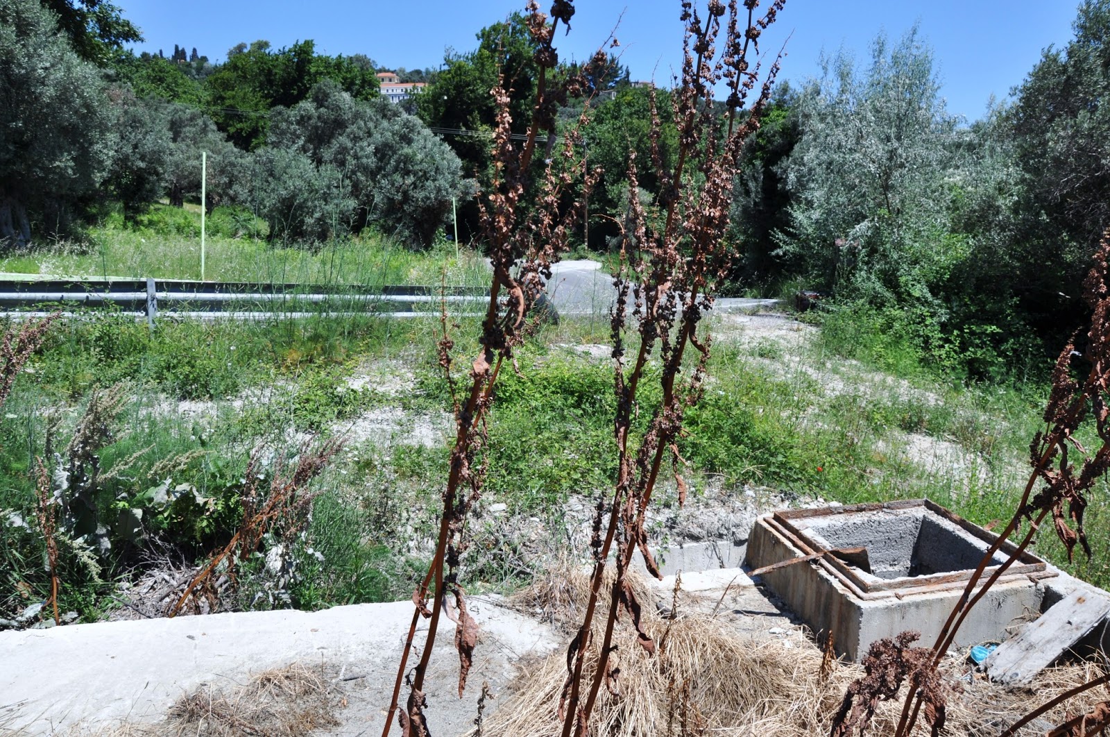 ΛΑΛΑ ΤΟ!!!: ΑΝΤΙΠΟΛΙΤΕΥΣΗ ΚΥΜΗΣ ΑΛΙΒΕΡΙΟΥ: ΕΓΚΛΗΜΑΤΙΚΗ ΑΔΙΑΦΟΡΙΑ ΓΙΑ ...