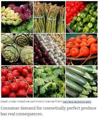 Green Zebra: High Levels of On-Farm Waste for Imperfect Fruits and ...