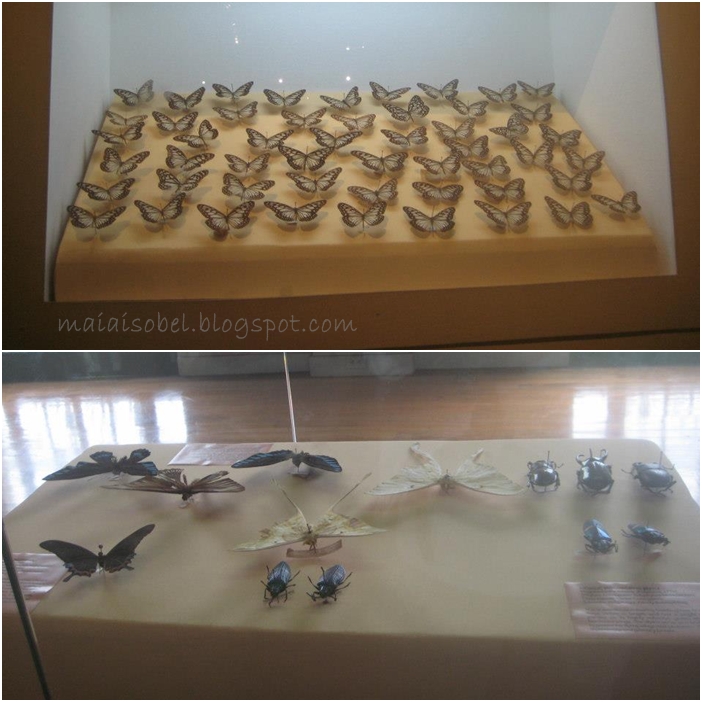 Chronicles of Maia: Maia Travels: Rizal Park Tour Part I